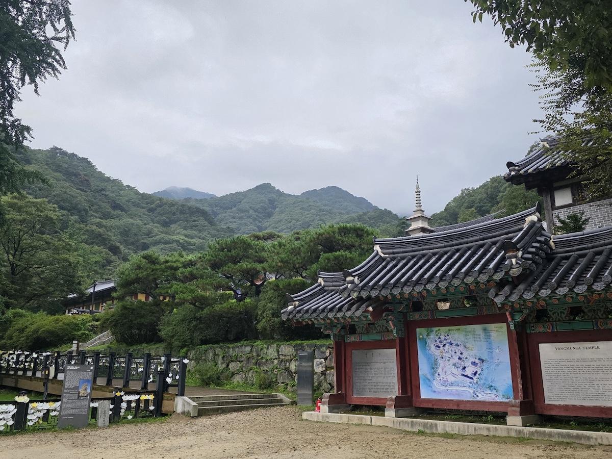 Temple Stay Near Seoul: Weekend Guide for Foreigners