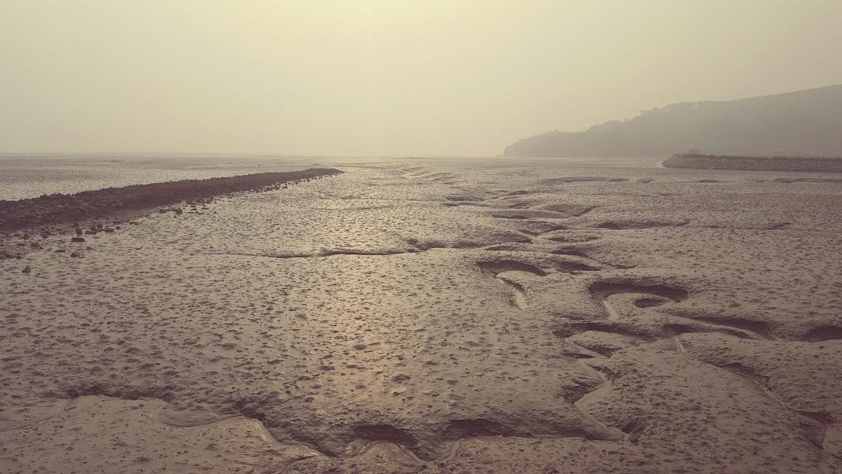 Korean Mudflats Travel Guide 2025: Scenic Views and UNESCO Heritage