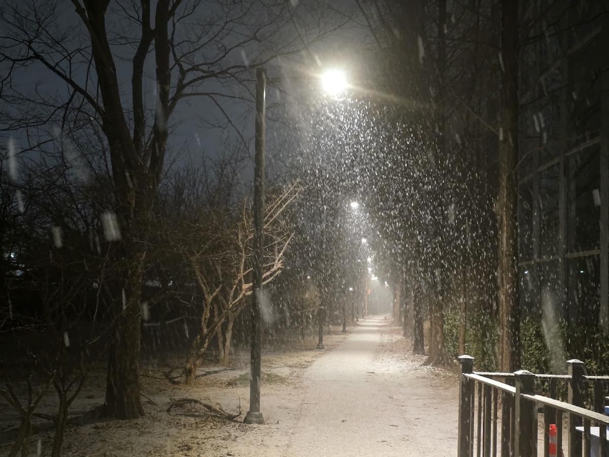 Korea Travel: Seoul Snow Season Guide: Data and Midnight Ritual (2026)