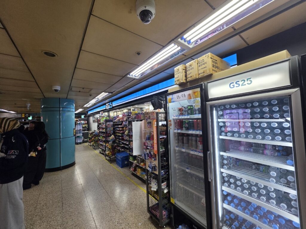 Experience the Modern Seoul Subway: A Visual Story for My Expat Friend ...