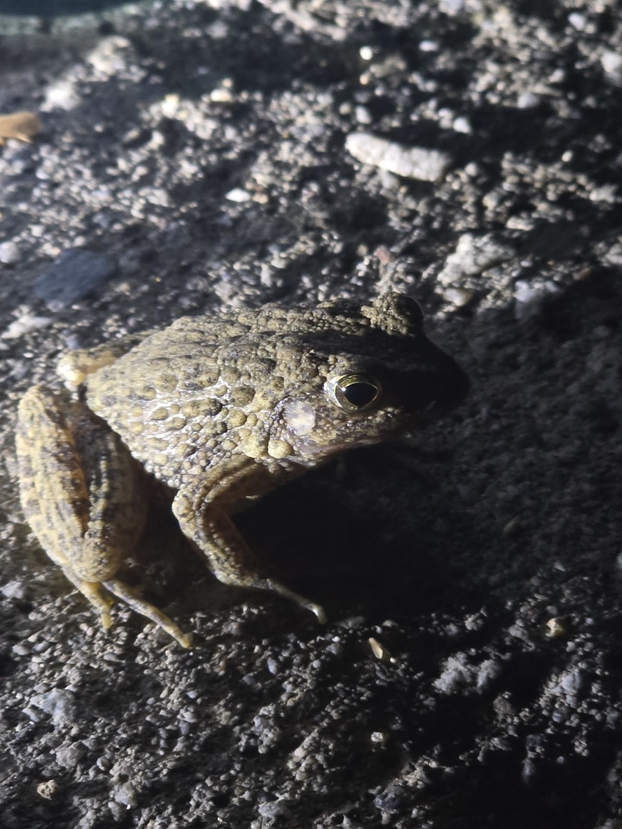 Best Valleys Near Seoul: Yongmunsan and Yumyeongsan Travel Guide